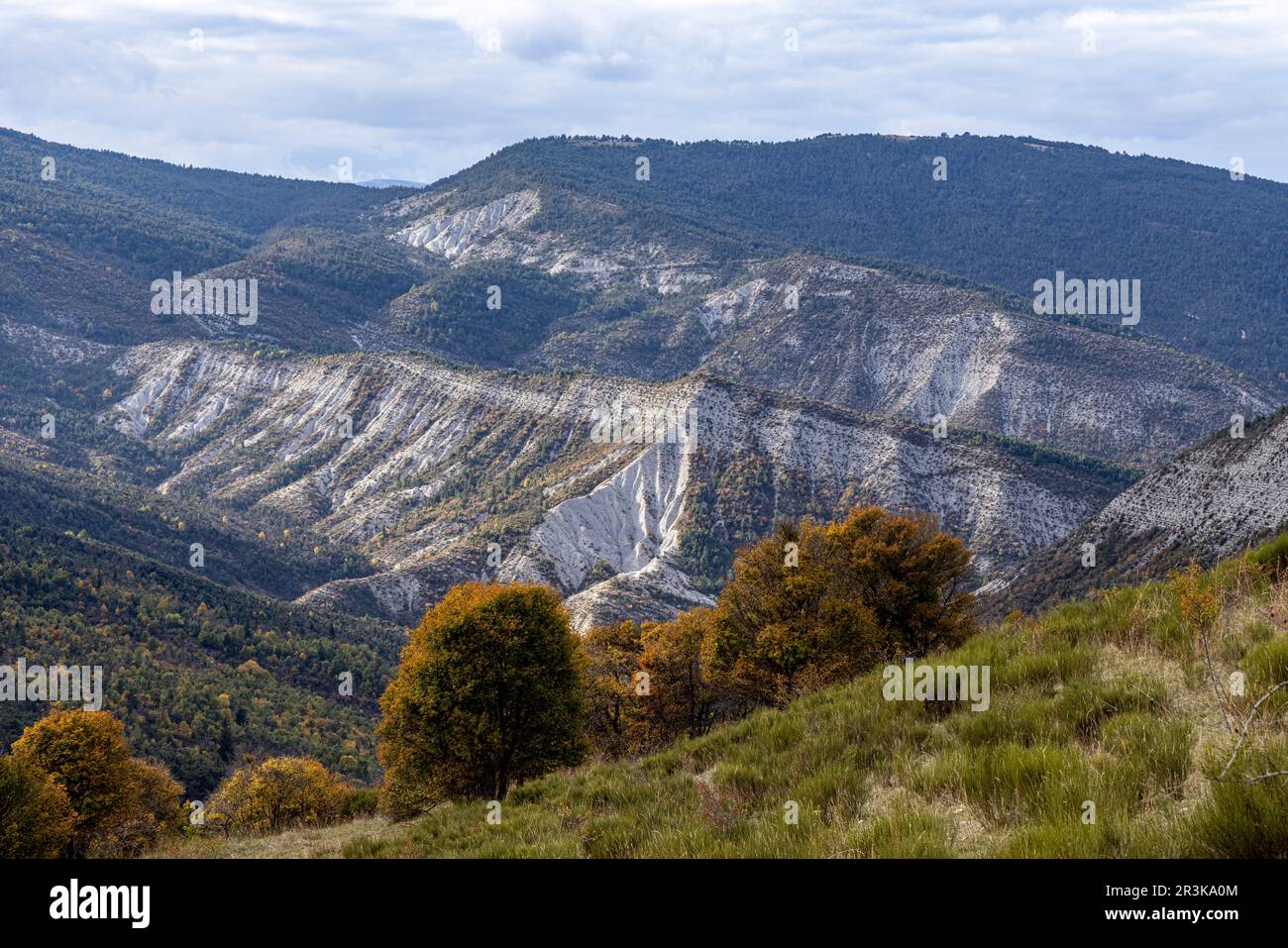 Barremian stage (115-120 million years) represented in the region by ...