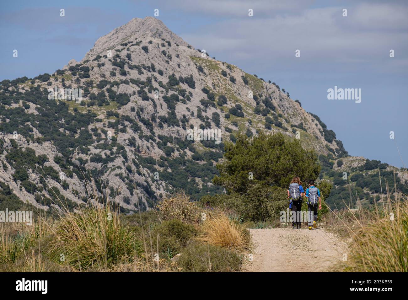 dry stone path GR221, Binimorat valley, Three Thousand Route, (Tres ...