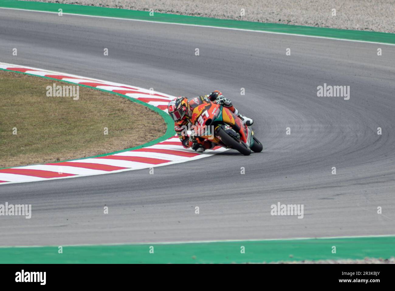 MONTMELLO, SPAIN-JUNE 4, 2021: Pedro Acosta on his #37 KTM RC250GP (Red ...