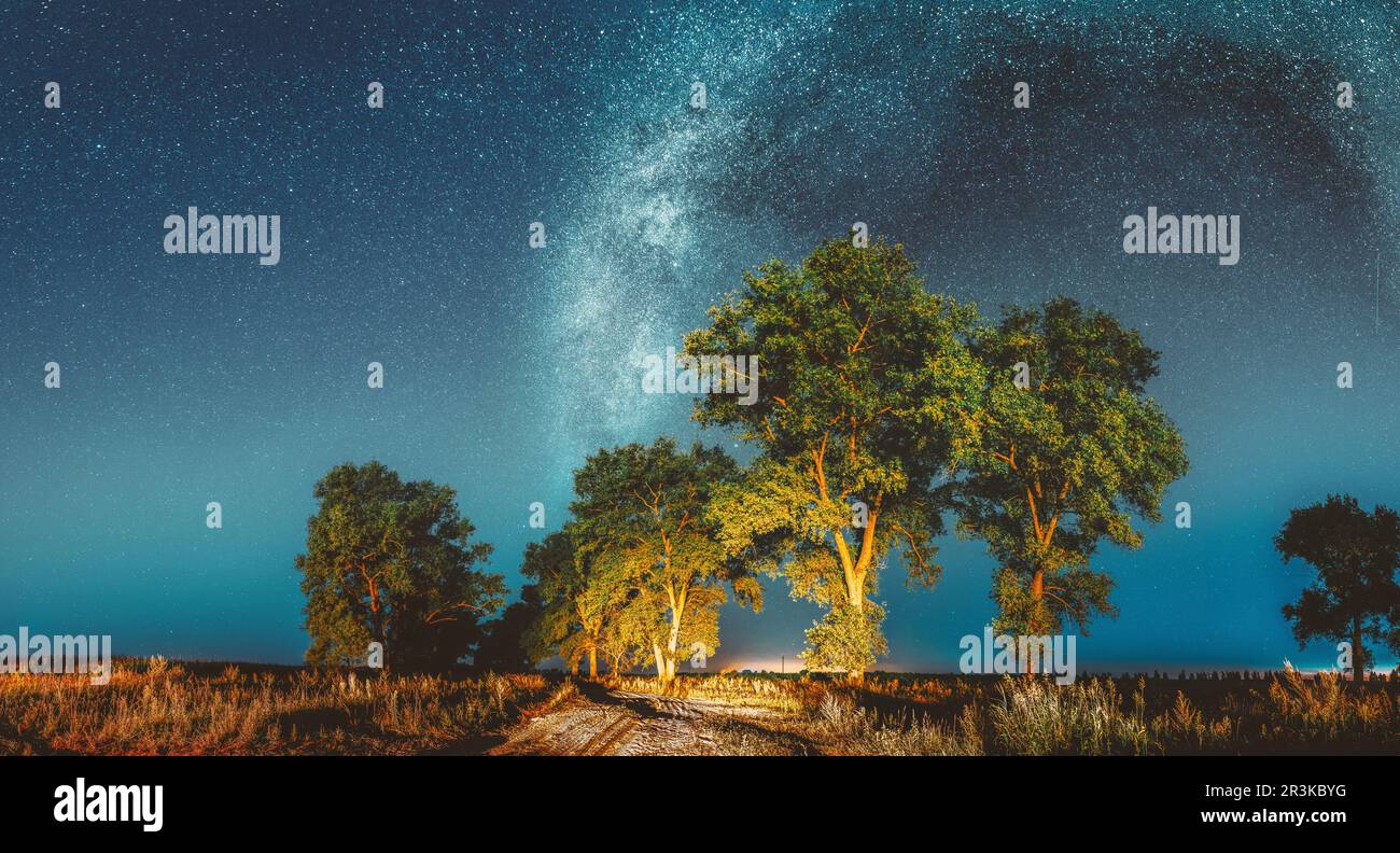 Milky Way Galaxy In Night Starry Sky Above Tree In Summer Forest ...