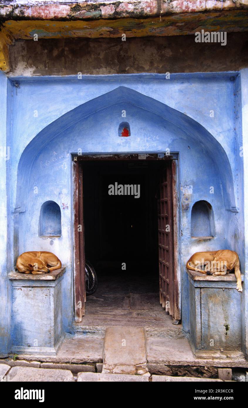 Bundi. Cordillera de Vindhya. Rajastan. India Stock Photo - Alamy