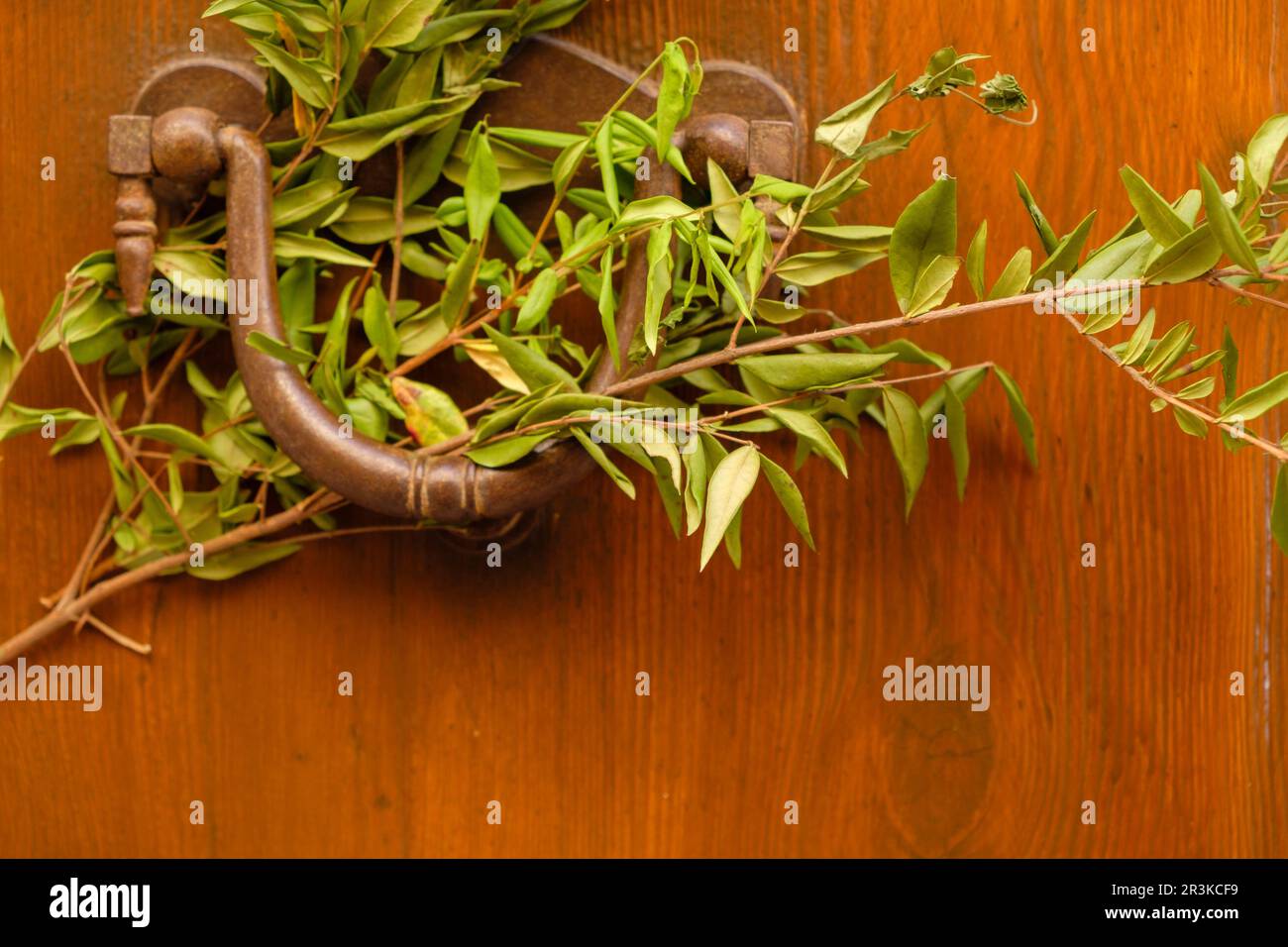 rama de mirto en una puerta, Fira de Ses Herbes,, Selva, Raiguer ...