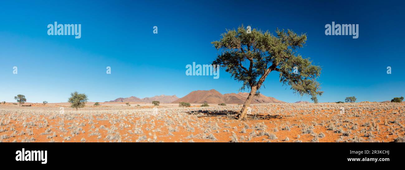 NamibRand Nature Reserve landscape, Namibia Stock Photo - Alamy