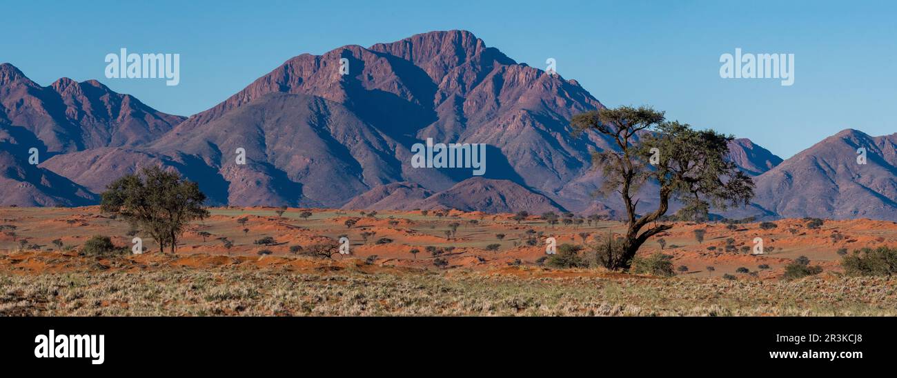 NamibRand Nature Reserve landscape, Namibia Stock Photo - Alamy