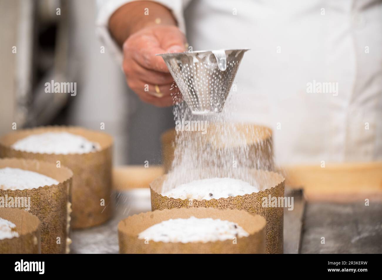 Pastry chef Topping Traditional Italian panettones with powdered sugar ...