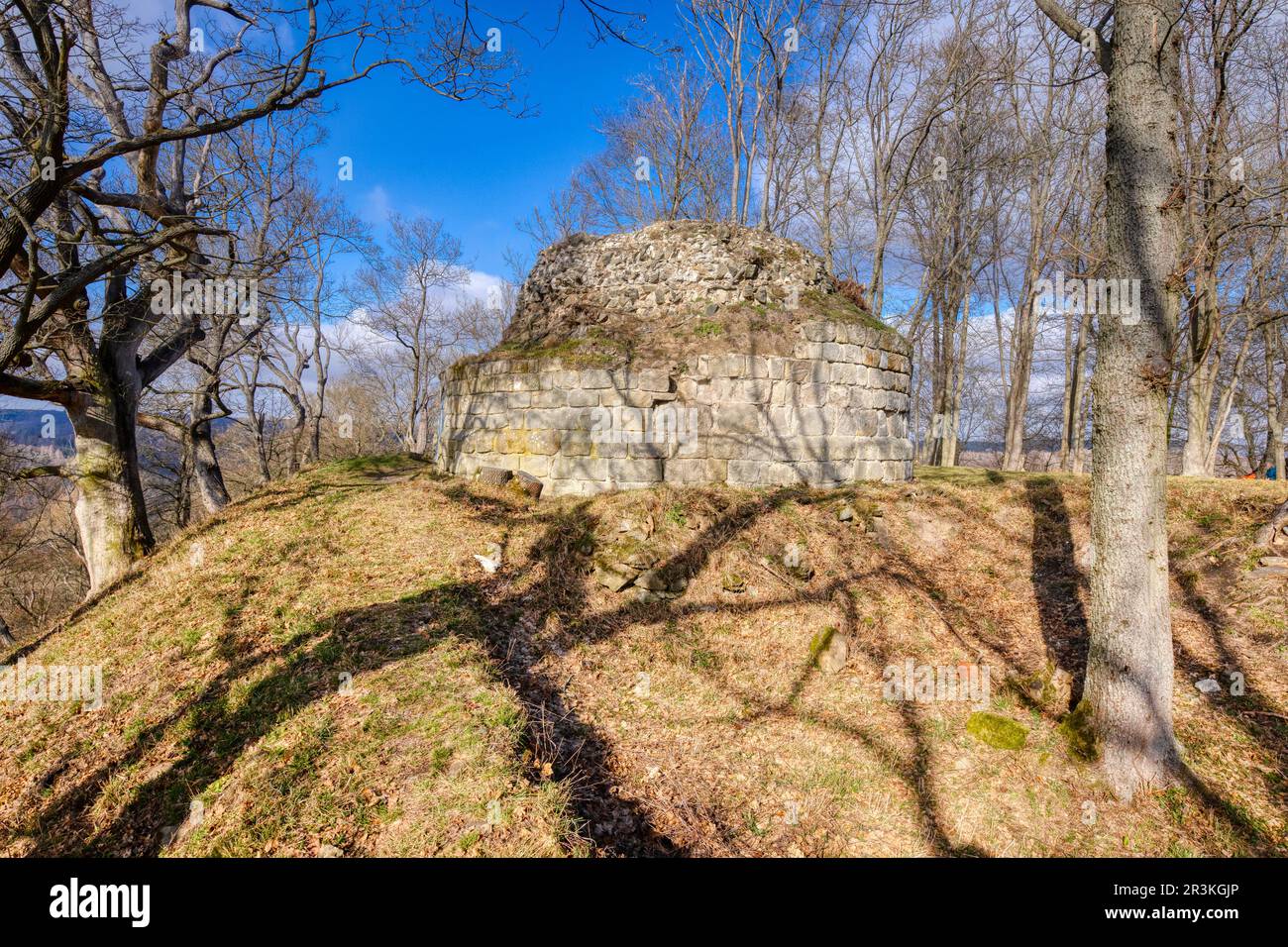 Bergfried burgruine anhalt harz selketal hi-res stock photography and ...