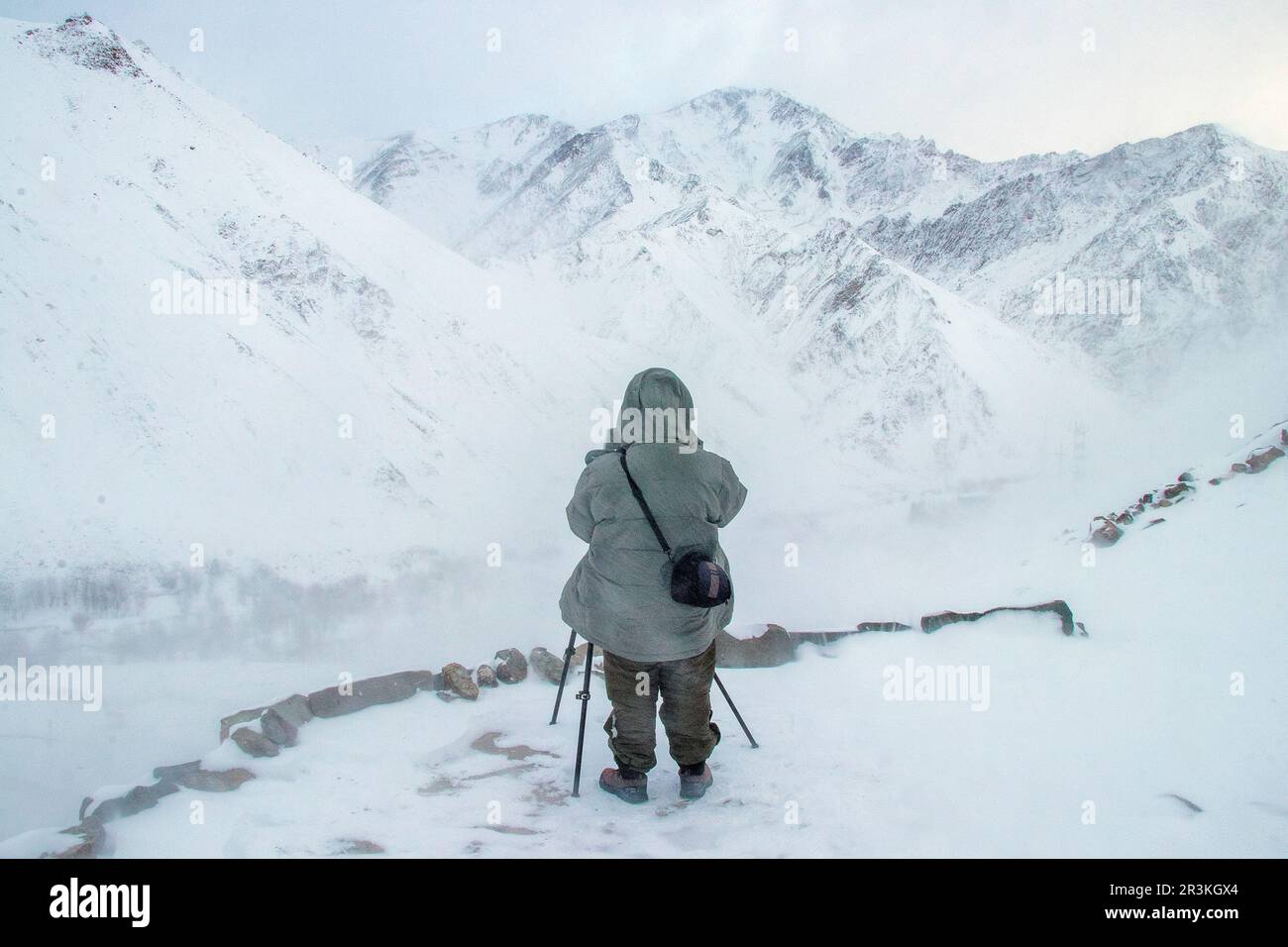 Spotter looking for the snow leopard, Himalayas, Rumbak village, Ladakh ...