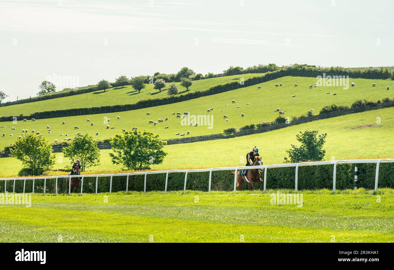 Middleham park stable hi-res stock photography and images - Alamy