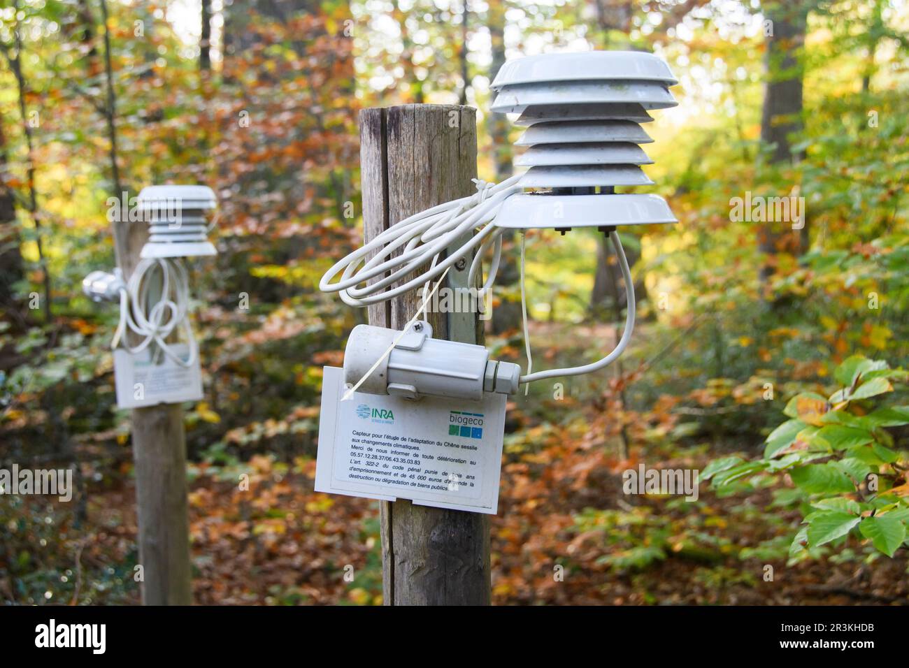 Sensors for studying the adaptation of Durmast Oak (Quercus petraea) to ...