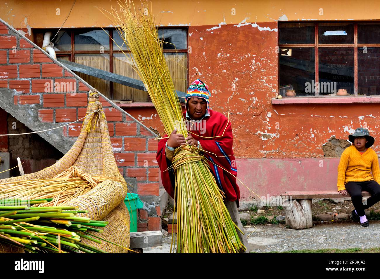 Aymara working the Totora (Schoenoplectus californicus subsp. tatora ...