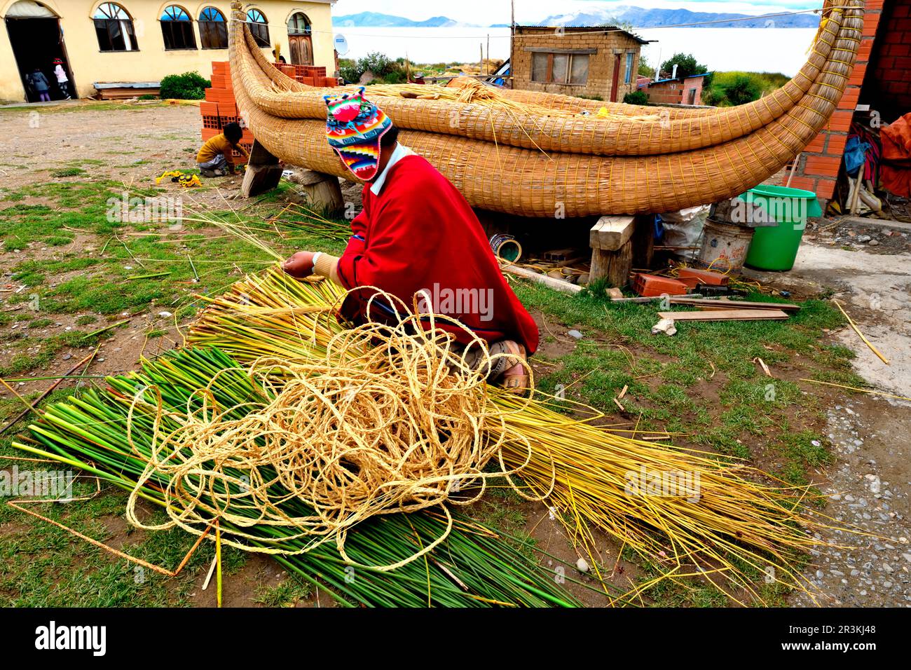 Aymara working the totora (Schoenoplectus californicus subsp. tatora ...