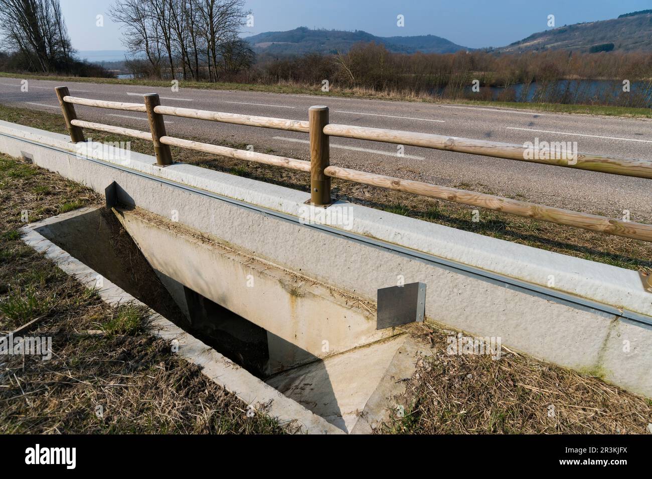 Amphibian passageway that facilitates the migration of amphibians ...