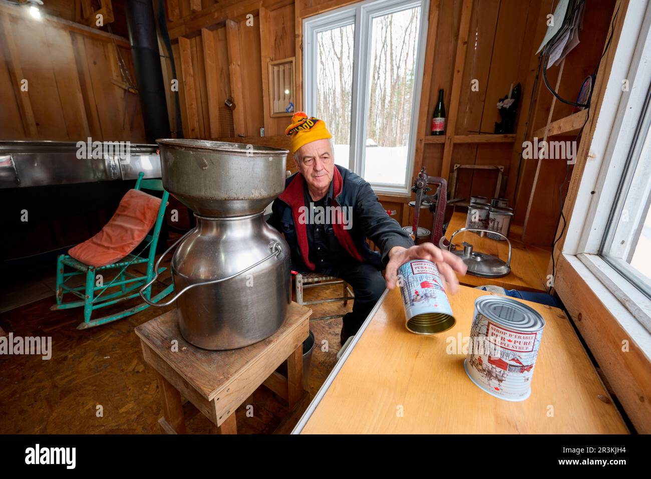 Canning maple syrup and closing the cans in a sugar shack at sugar time ...