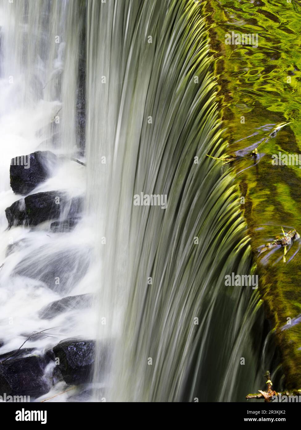 Weir at Long Dam in Skipton Castle Woods Skipton North Yorkshire ...