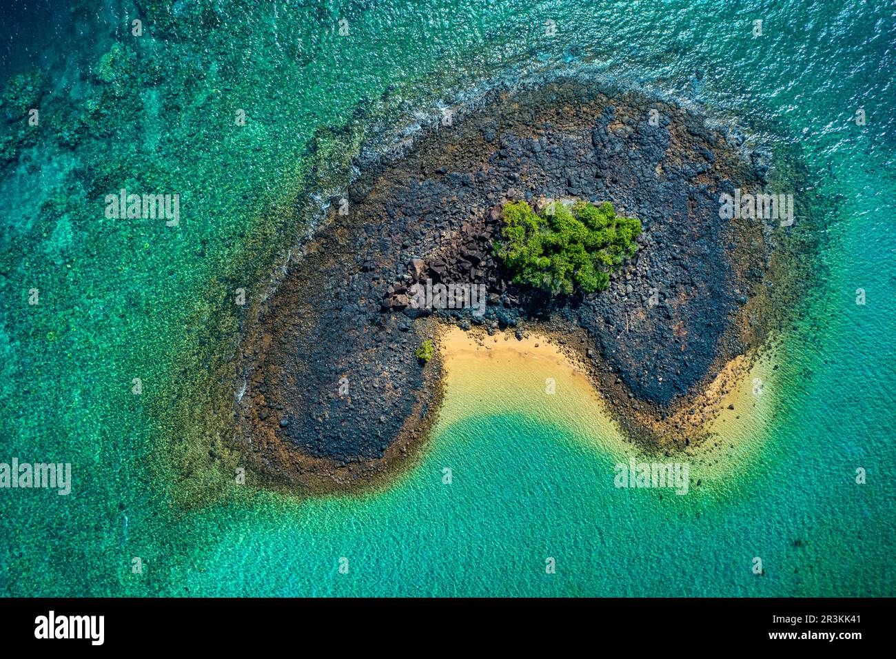 Tiny islet. A tiny islet with a single mangrove tree in the lagoon of ...