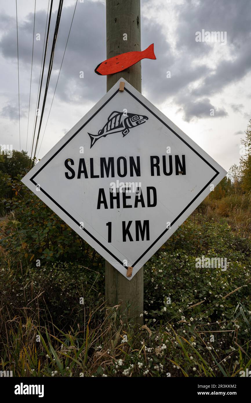 Signboards indicating salmon run on the Tsútswecw Provincial Park ...