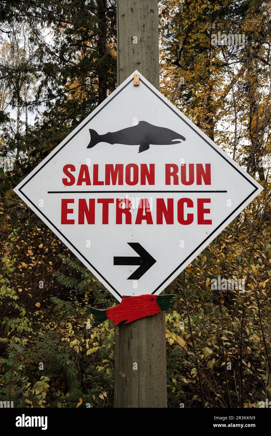 Signboards indicating salmon run on the Tsútswecw Provincial Park ...