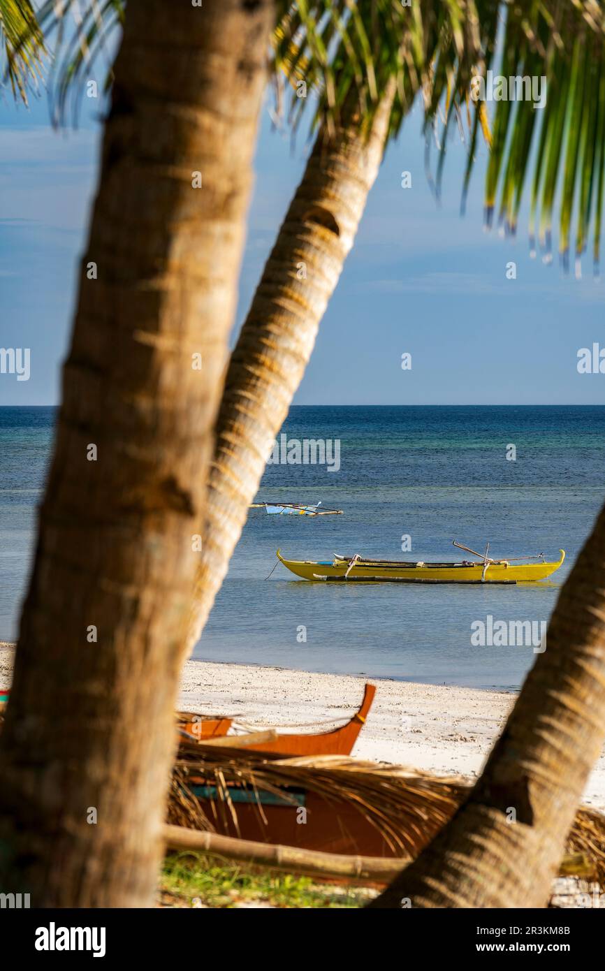 Siquijor beach at sunset, palm trees and Bangka boats in the ...