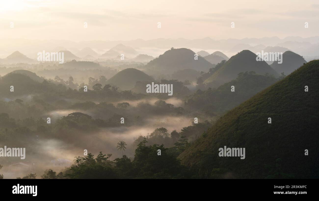 Chocolate hills on the island Bohol in the philippines at sunrise with ...