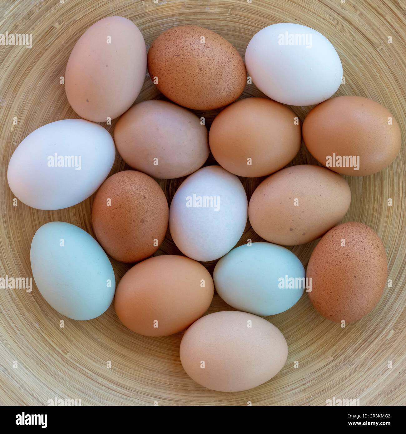 Hens eggs of different colours from various breeds Stock Photo - Alamy