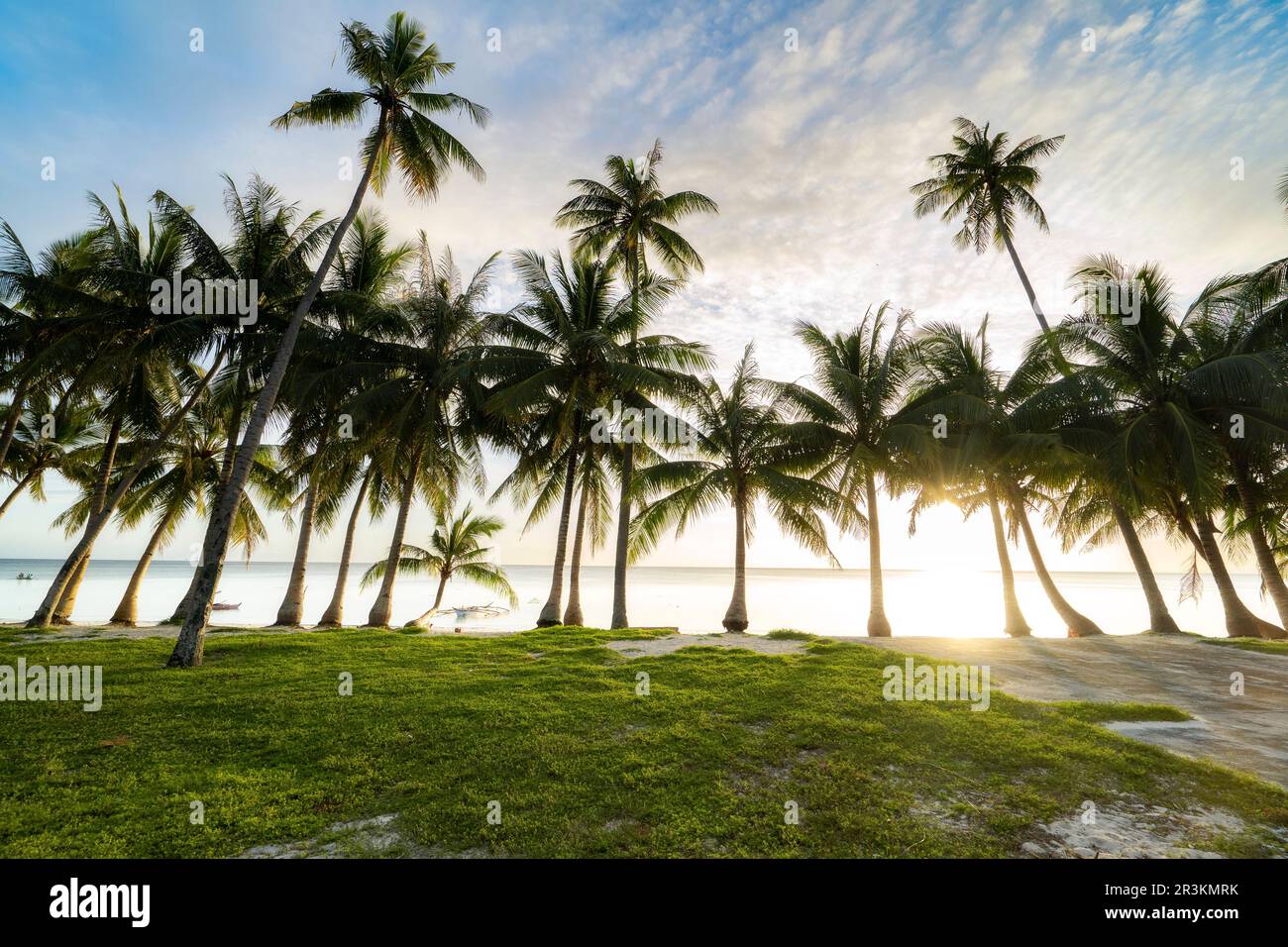 Palm trees in the philippines hi-res stock photography and images - Alamy