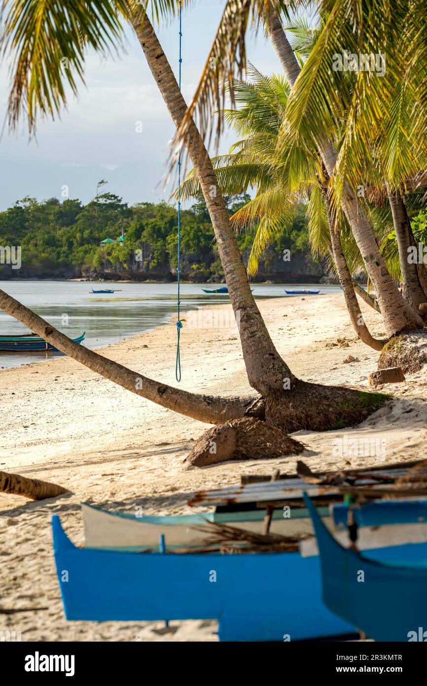 Beach with Palm trees and Bangka boat in the Philippines on island ...