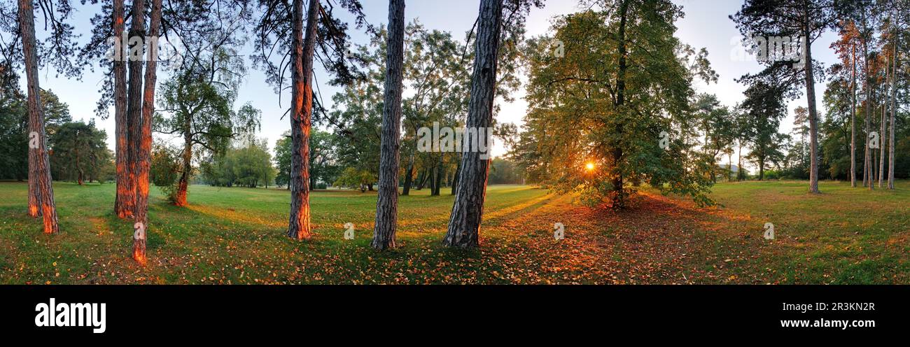 360 degree environment hi-res stock photography and images - Alamy