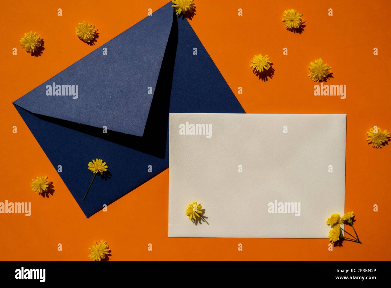 Beautiful little yellow chamomile daisies flowers on postal blue ...