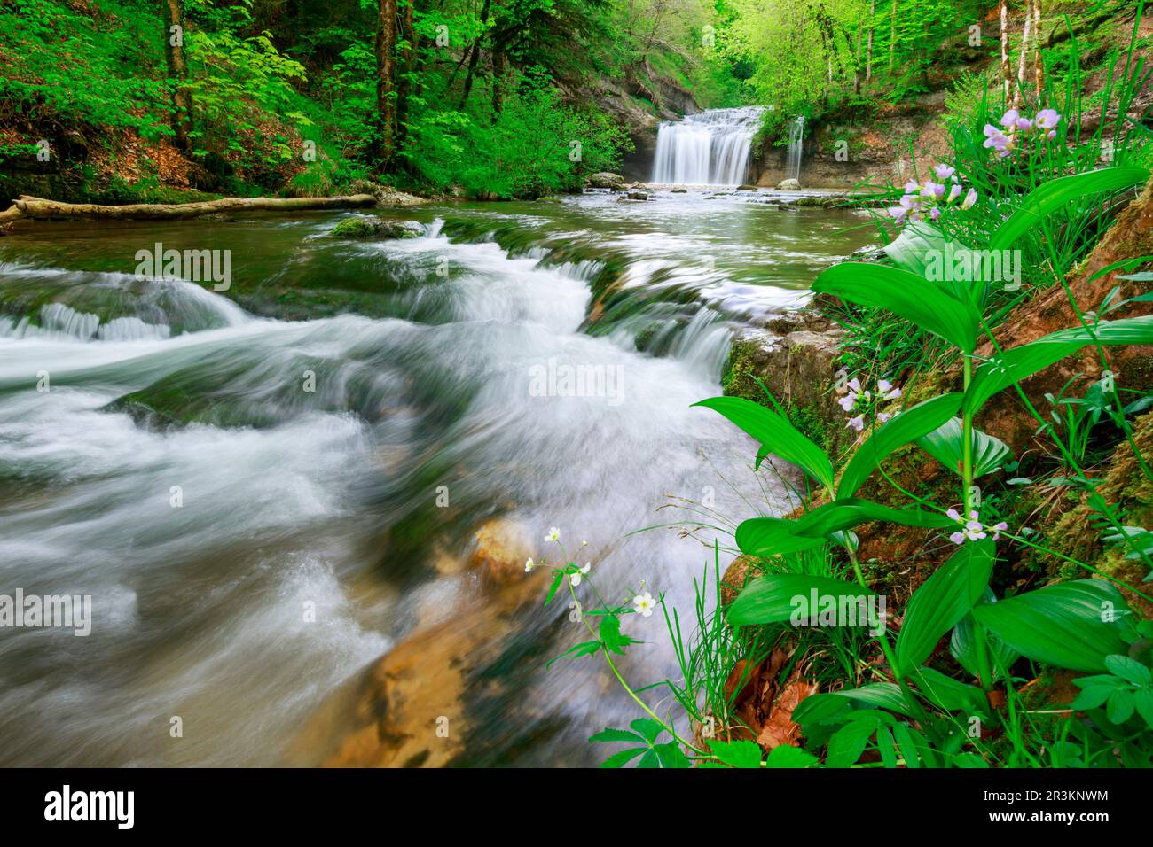 The Gour bleu, Herisson waterfalls, Jura, France Stock Photo - Alamy