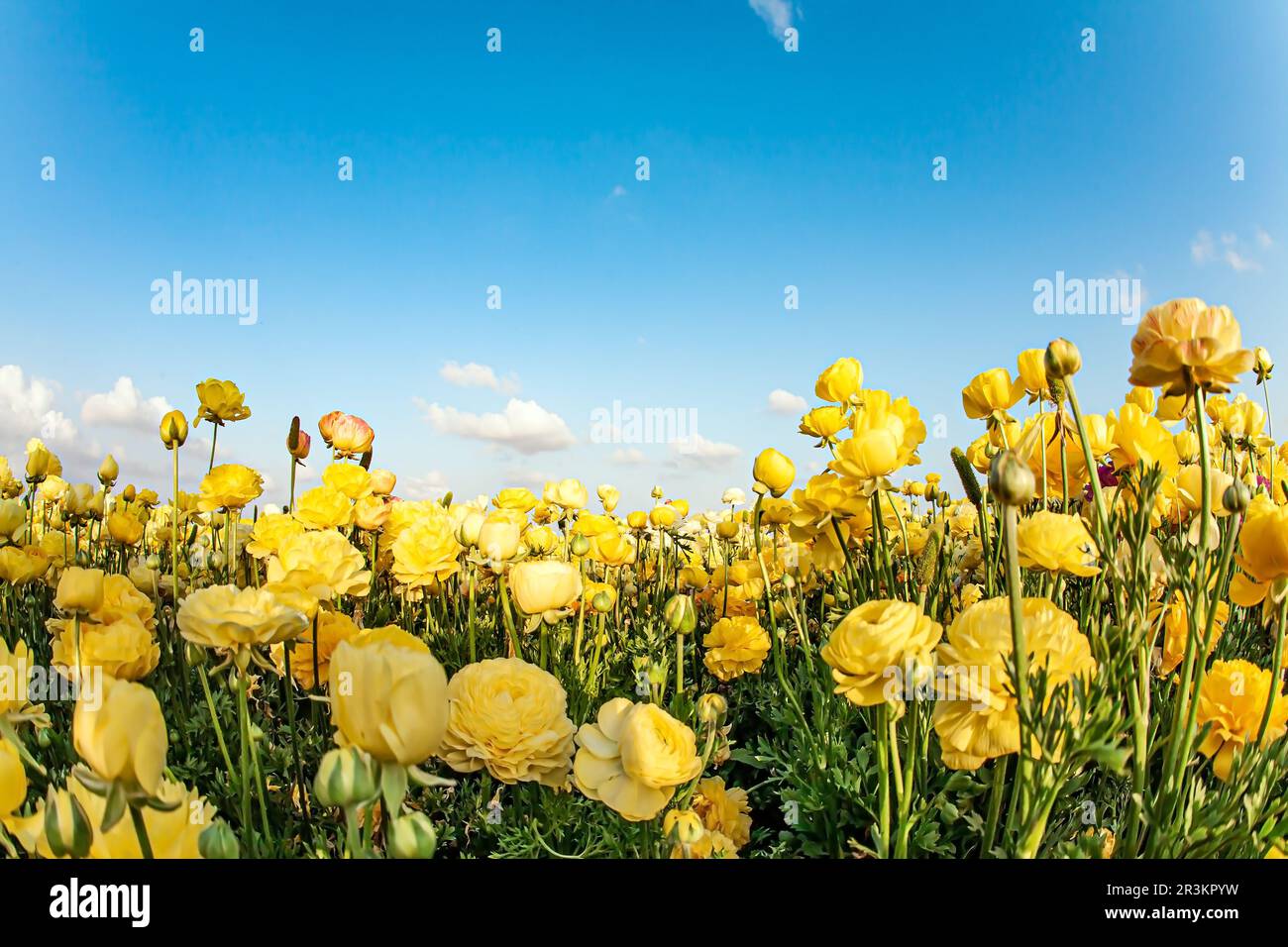 Spring sunny day hi-res stock photography and images - Alamy