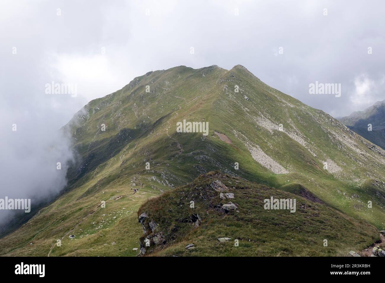 Fleckner hi-res stock photography and images - Alamy