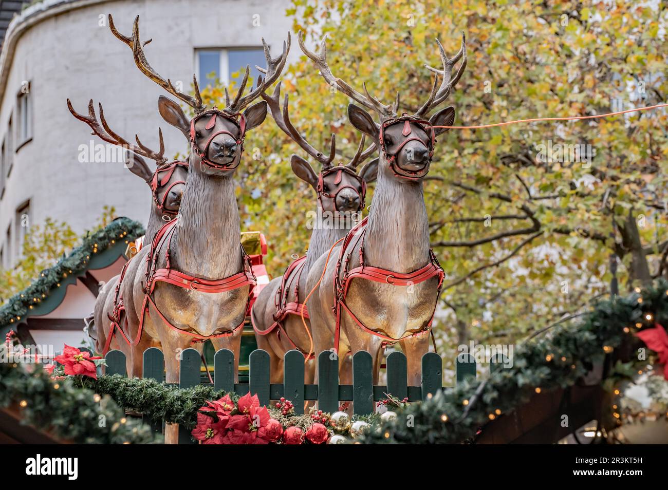 Stall magic hi-res stock photography and images - Alamy