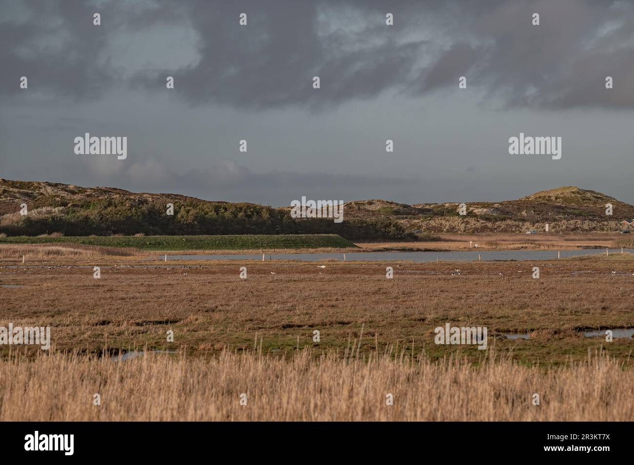 Wet belt hi-res stock photography and images - Alamy