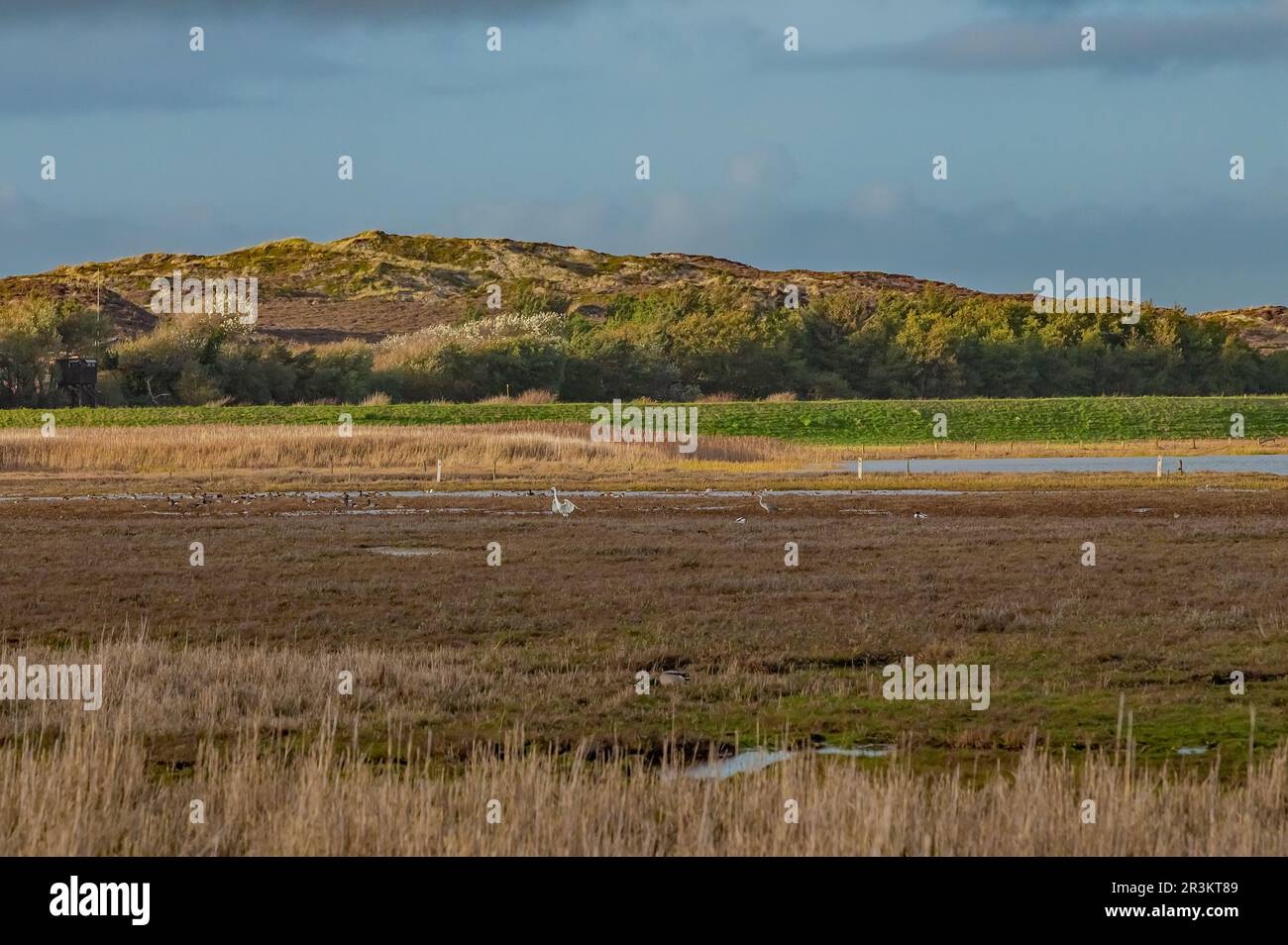 Wet belt hi-res stock photography and images - Alamy