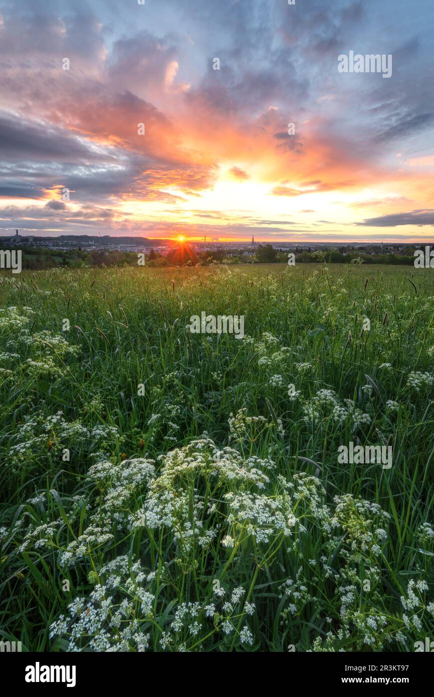 Germany ulm city landscape hi-res stock photography and images - Alamy