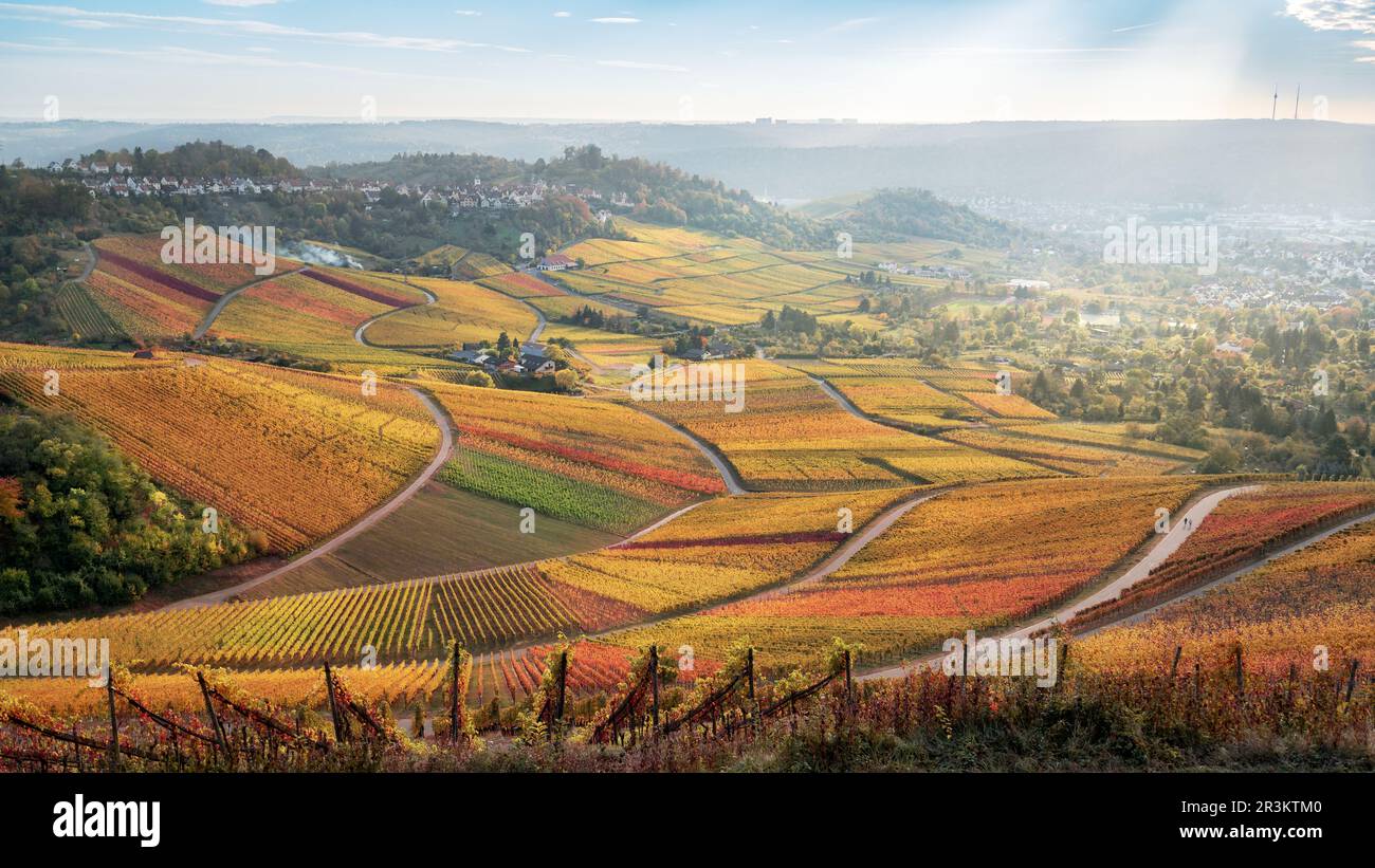 Panorama view of vineyard in Stuttgart with mountain wÃ¼rttemberg ...