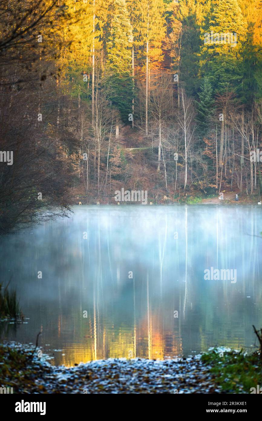 Mist relax hi-res stock photography and images - Alamy