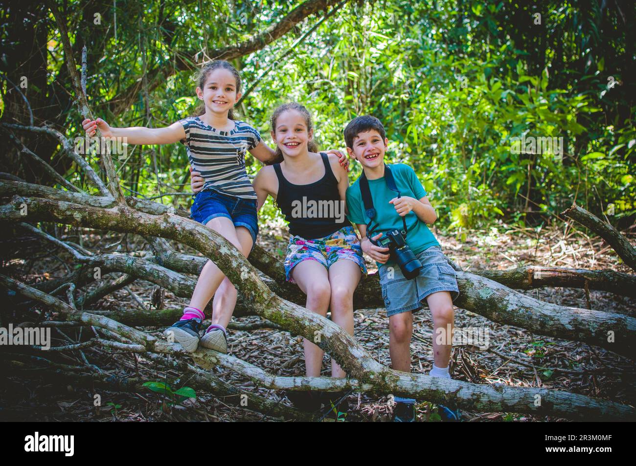 Portrait of children playing in the forest Stock Photo - Alamy
