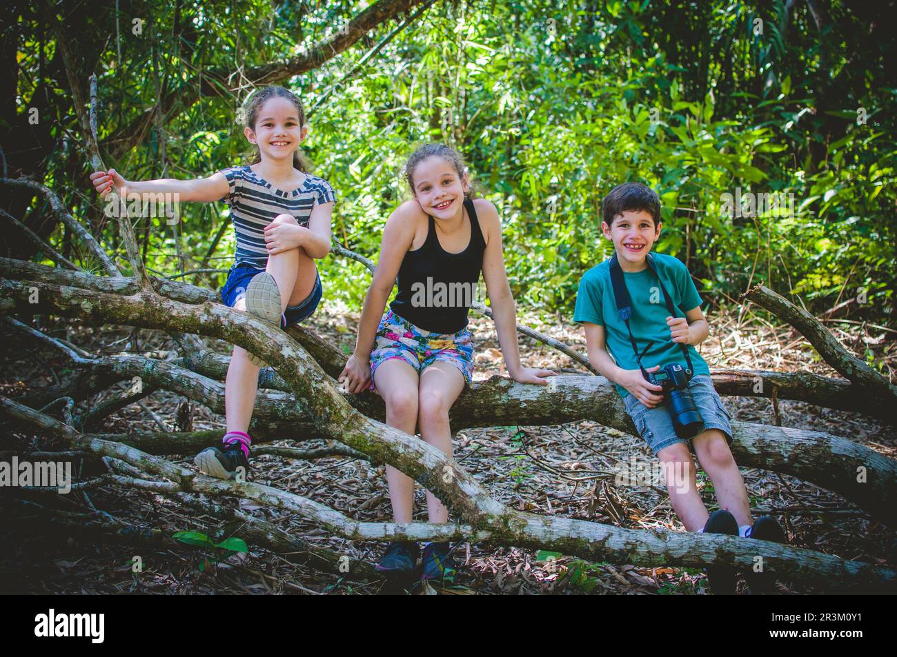 Portrait of children playing in the forest Stock Photo - Alamy