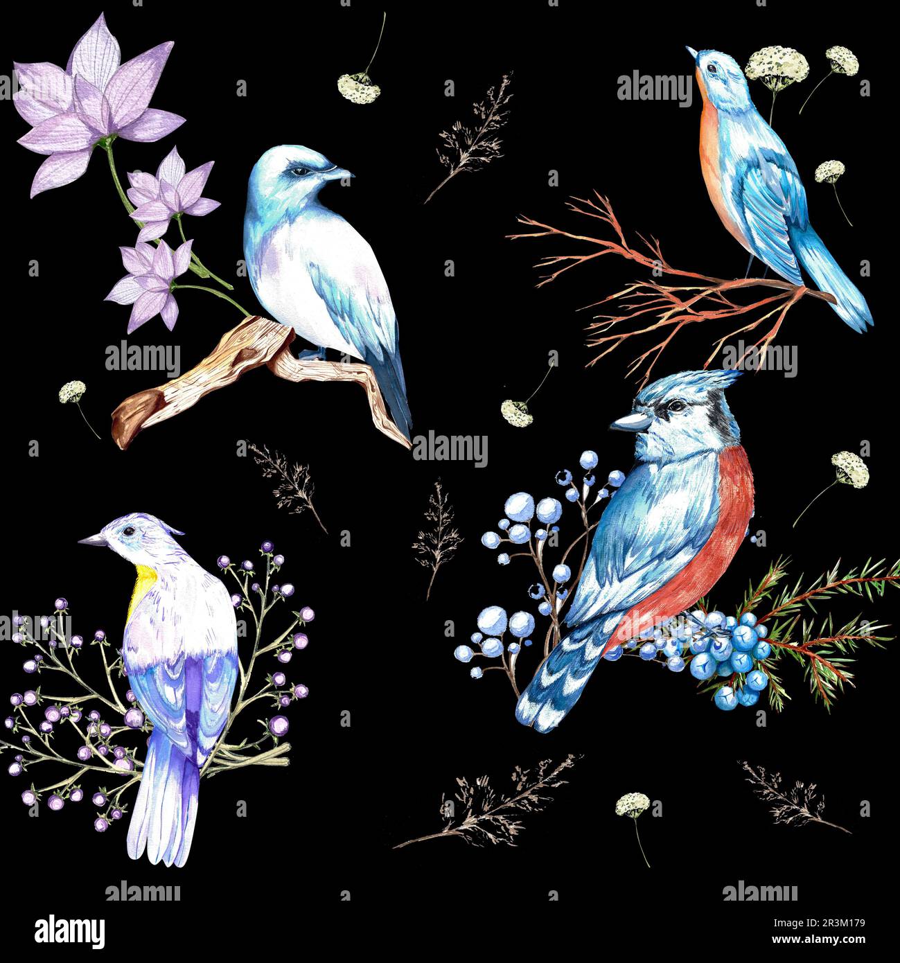 a set of watercolor elements. Forest birds, flowers, juniper, rose hips ...