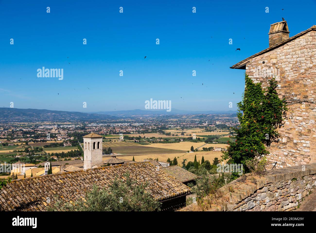 Assisi village in Umbria region, Italy. The town is famous for the most ...