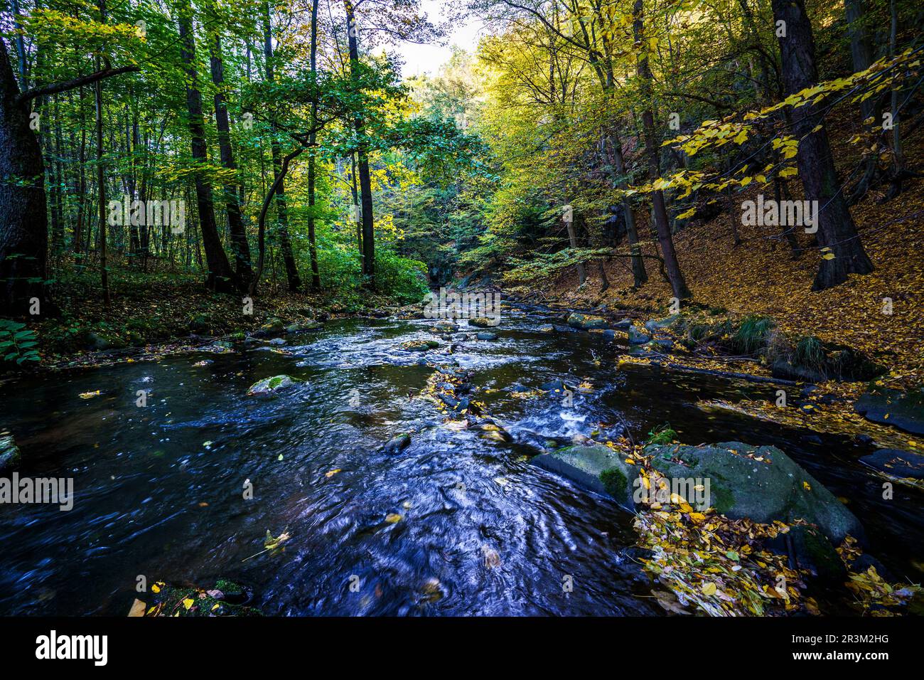 Autumn magic on a river landscape in Lusatia - The LÃ¶bauer Water 1 ...