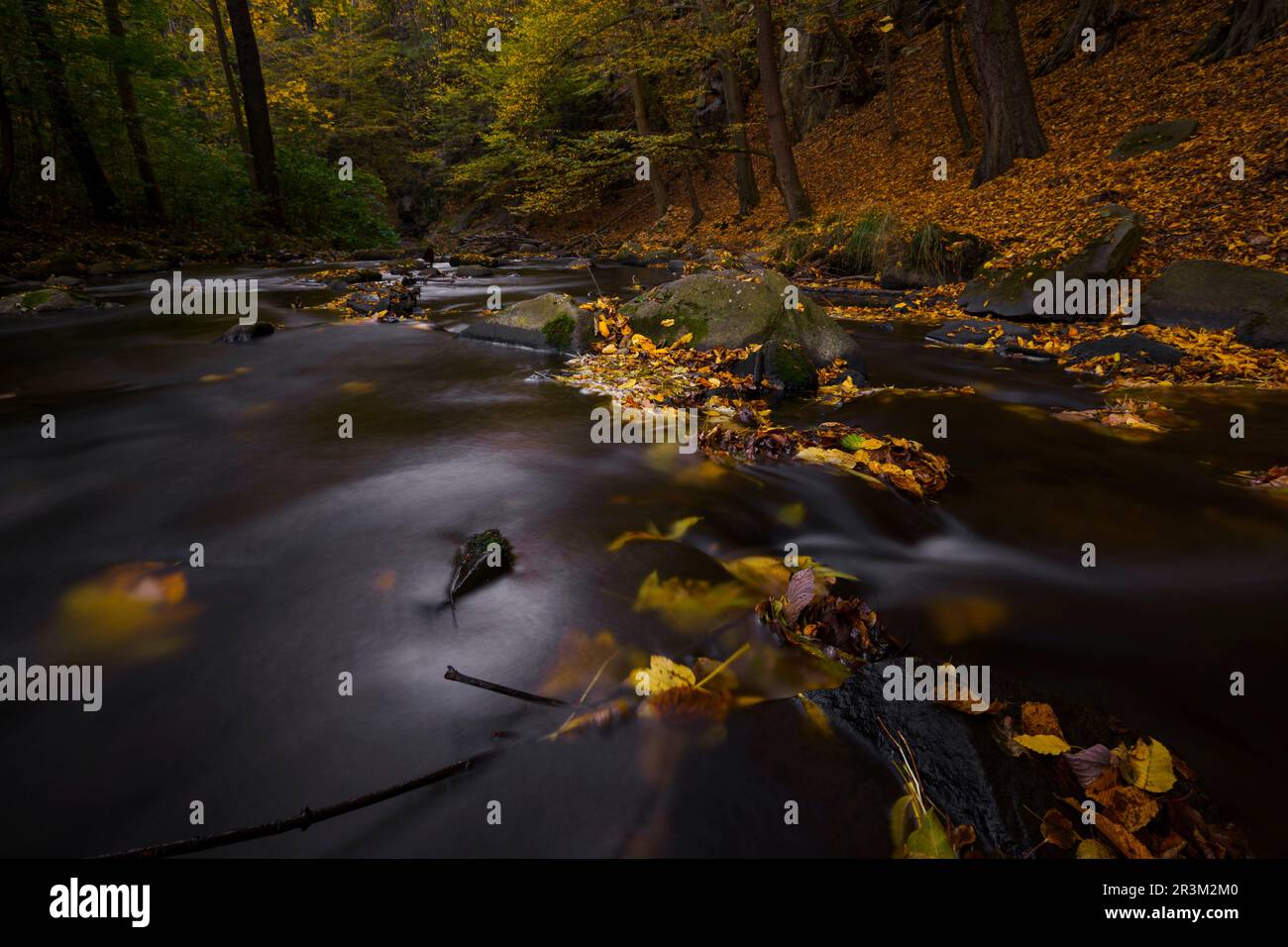 Autumn magic on a river landscape in Lusatia - The LÃ¶bauer Water 5 ...