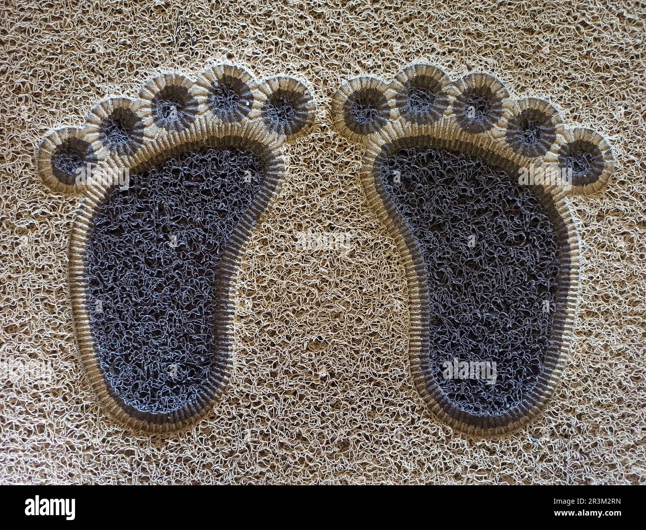 Cloth rug in front of the entrance to the house. Foot mat. Rug with fun ...