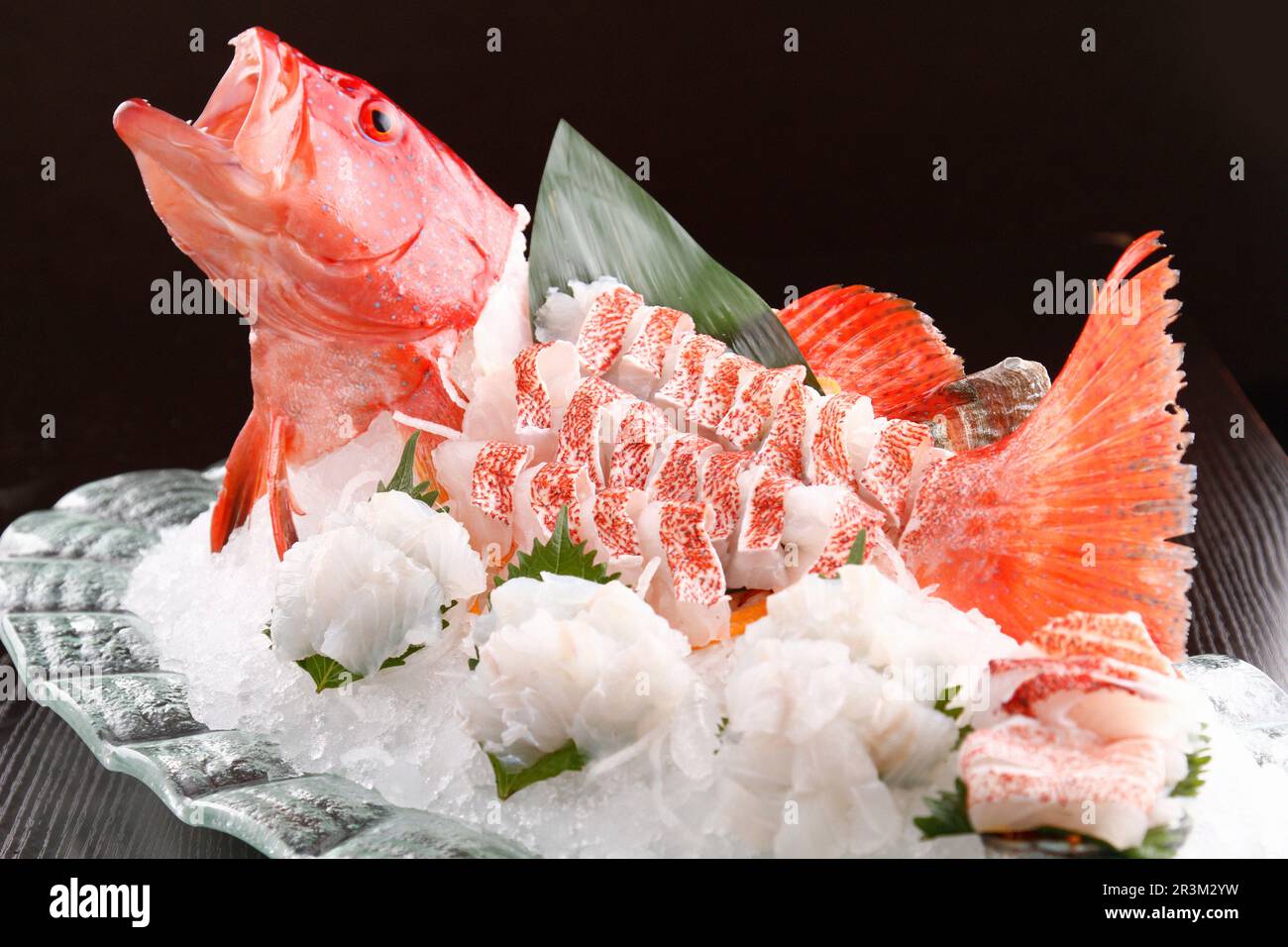 Red-banded grouper sashimi，Red Grouper fish for hot pot Stock Photo - Alamy