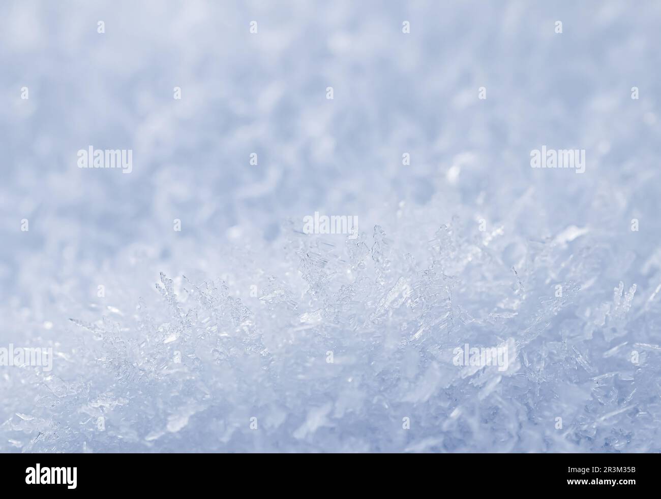 Fresh snow background. Natural winter backdrop. Texture in blue tones ...