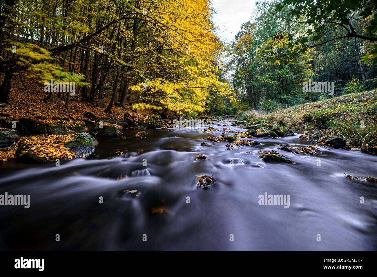 Autumn magic on a river landscape in Lusatia - The LÃ¶bauer Water 9 ...
