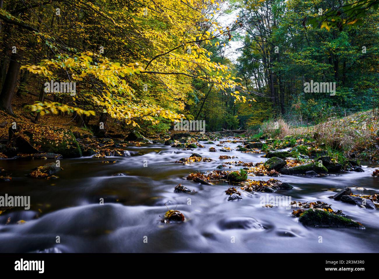 Autumn magic on a river landscape in Lusatia - Das LÃ¶bauer Wasser 10 ...