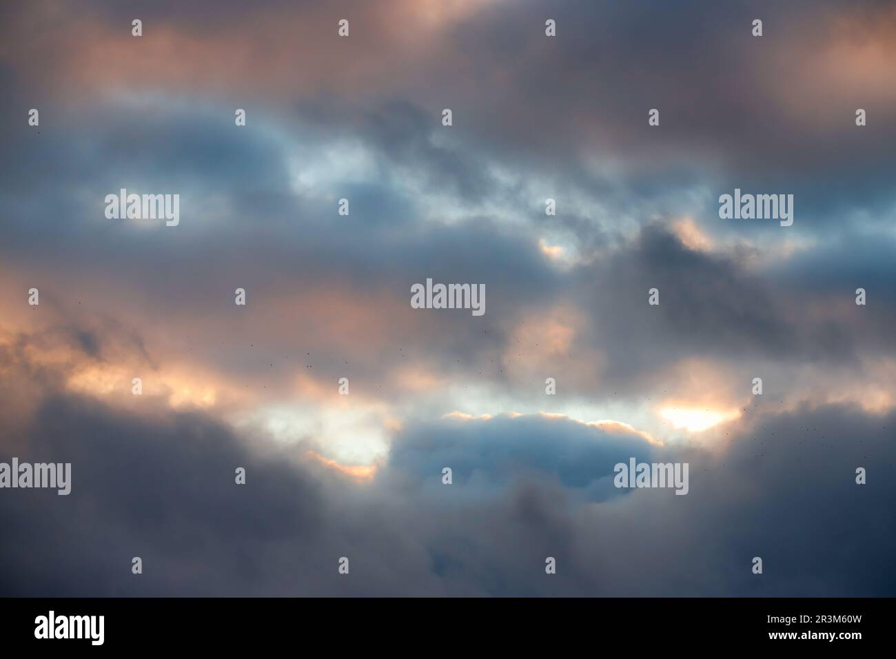 Atmospheric evening sky texture sky to replace Stock Photo - Alamy