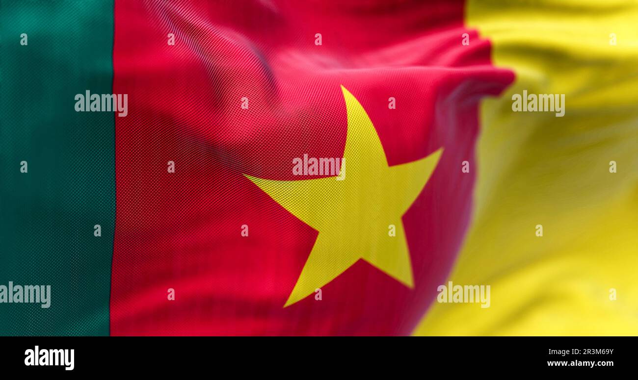 Flag cameroon in shape hi-res stock photography and images - Alamy